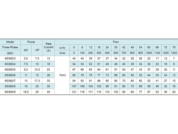 6SS 6’’ Deep Well Pump | Shimge | ETW International