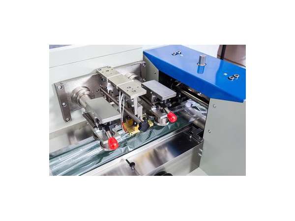Horizontal flow wrapper | Pillow Horizontal Flow Wrapper | ETW ...