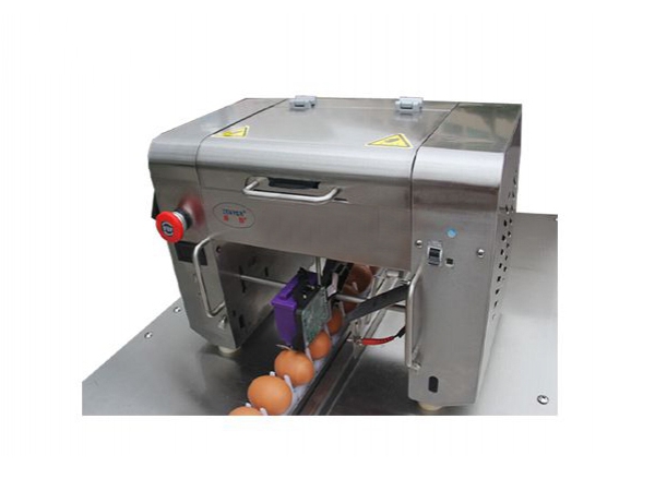 Egg Packing Machine | Farm Packer - 710 | ETW International