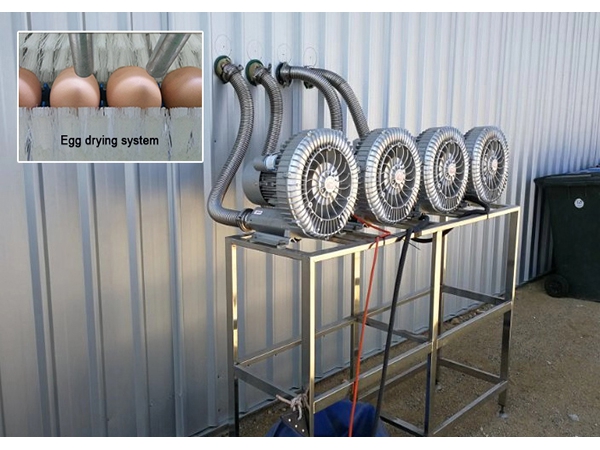 Complete Egg Processing Line | Food Industry Companies - 302AS | ETW ...