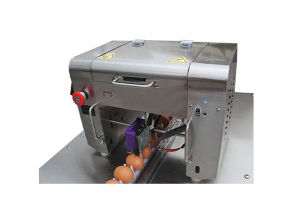 Complete Egg Processing Line | Food Industry Companies - 302AS | ETW ...